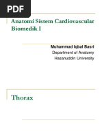 Thorax Anatomy Diagrams Overview | PDF