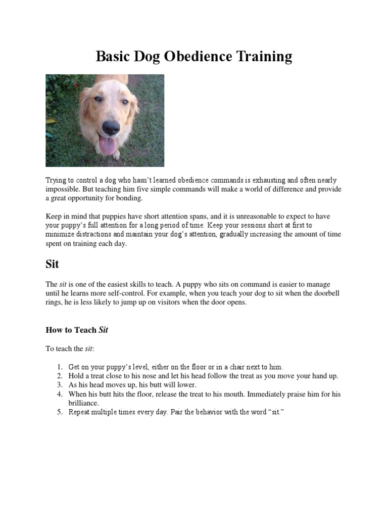 Basic Dog Obedience Training | PDF | Obedience Training