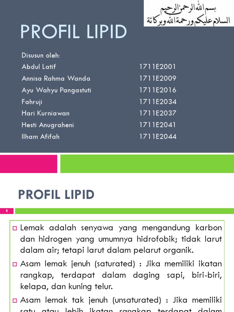 Profil Lipid+gangguan | PDF