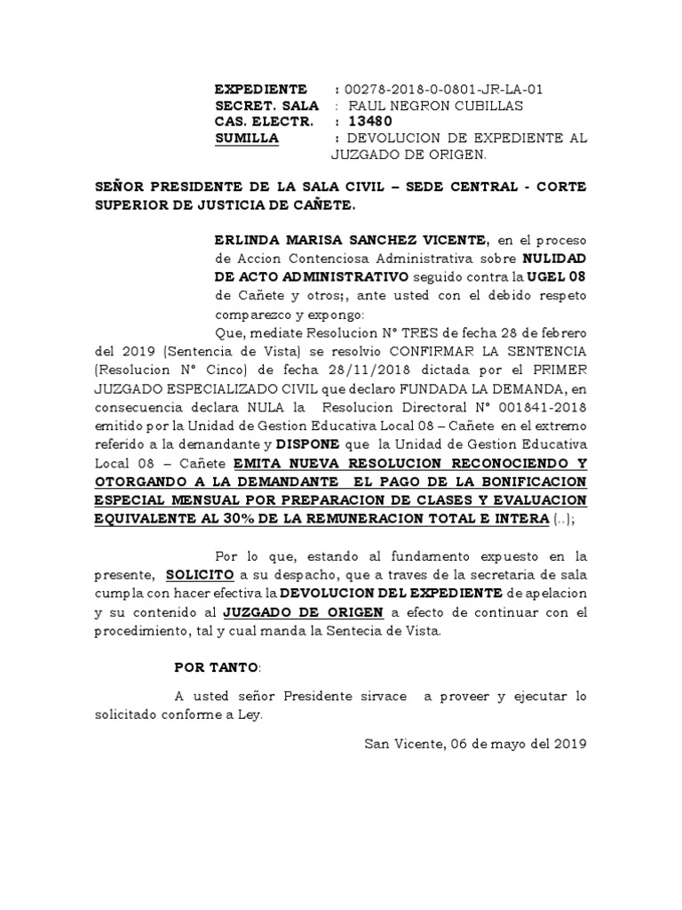 Devolucion de Expediente de Sala Al Juzgado 2019 | PDF | Gobierno | Ley Pública