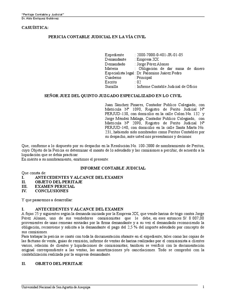 Informe de Peritaje Contable Judicial | PDF | Testigo experto ...