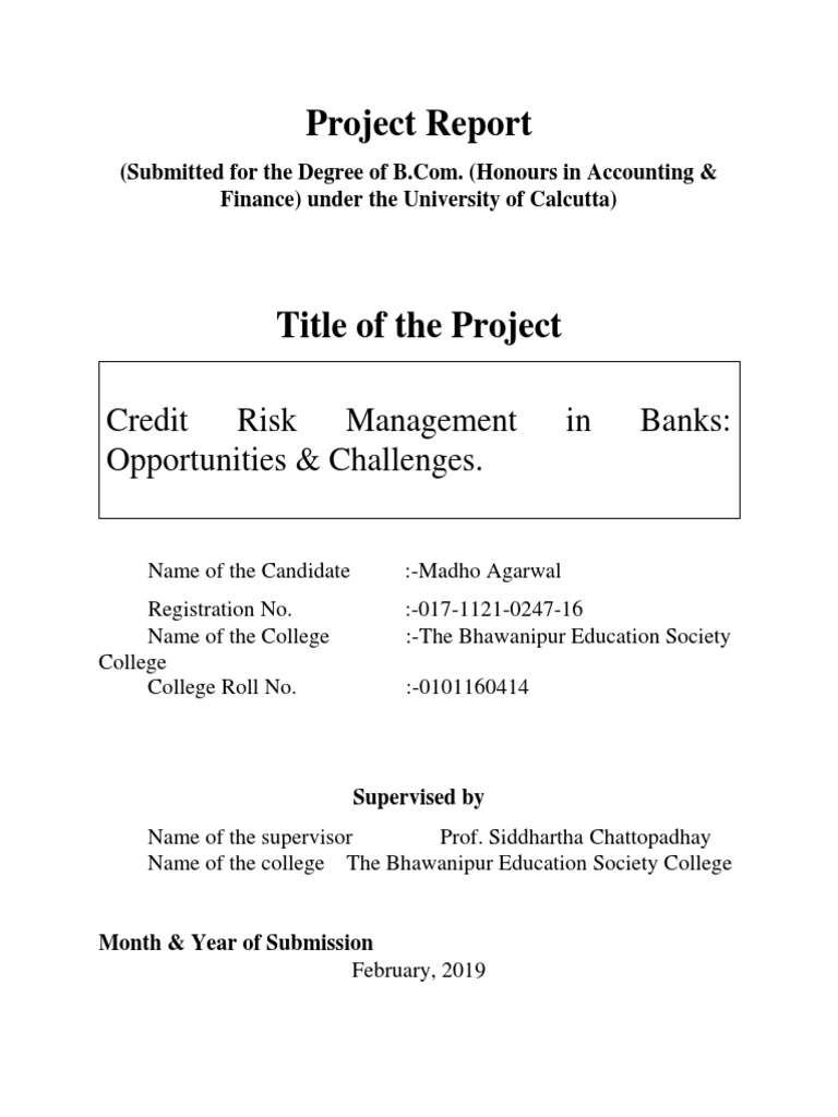 Edp Project Credit Risk Management | PDF | Risk | Credit