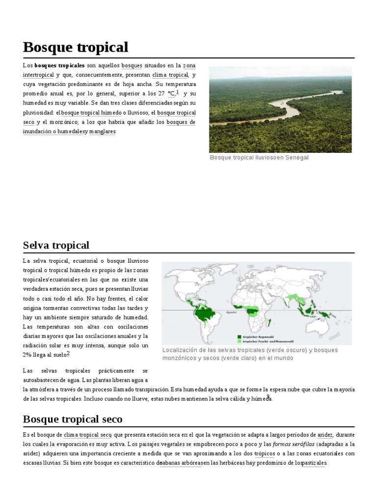 Bosque Tropical | PDF | Los bosques | Ciencias atmosféricas