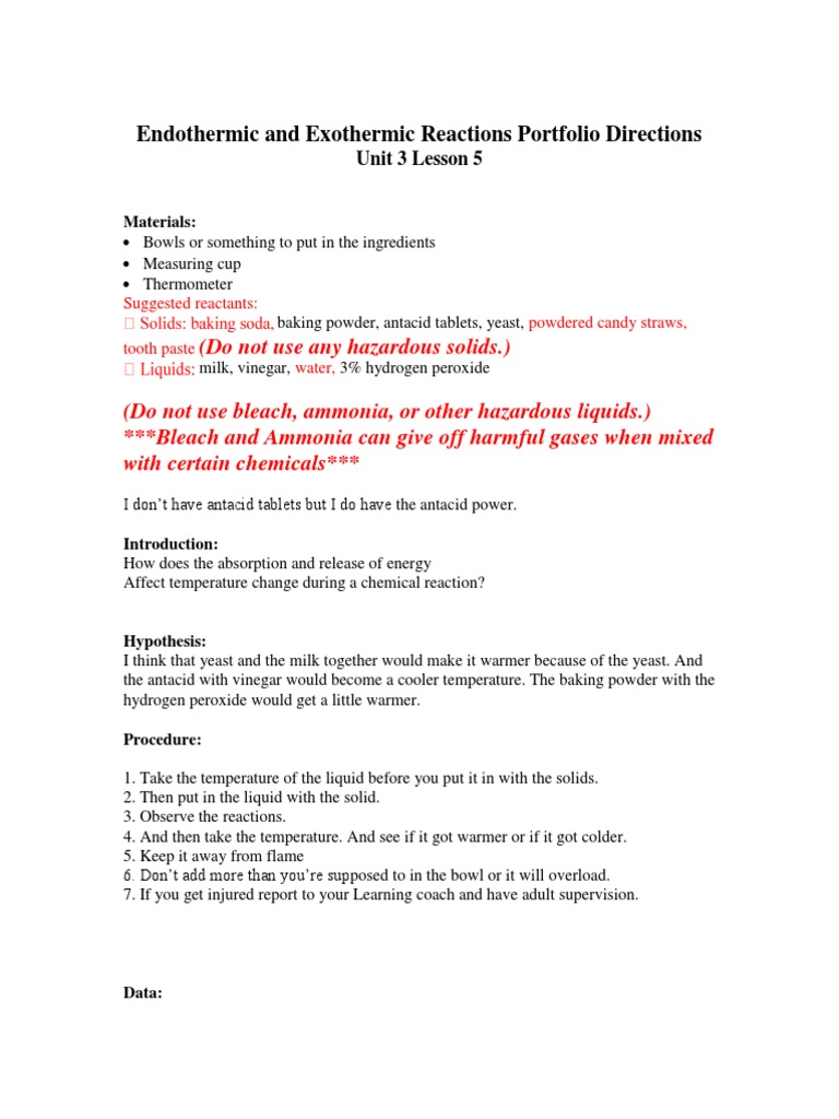 Endothermic Exothermic Lab Template MN | PDF | Chemical Reactions ...