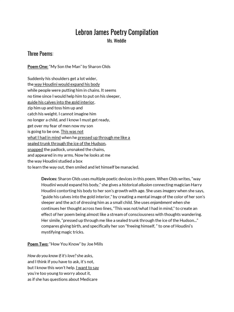 Lebron James - Poetry Compilation Example | PDF | Father | Poetry
