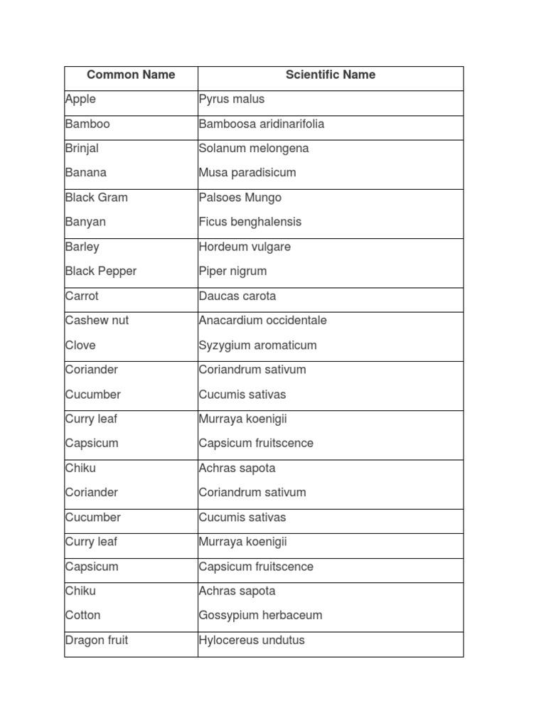 Common Name Scientific Name | Download Free PDF | Fruit | Vegan Cuisine