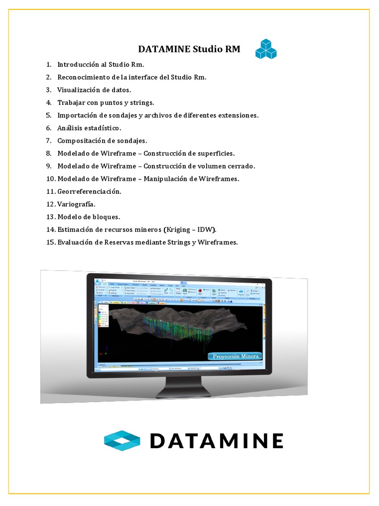 Datamine Studio RM | PDF