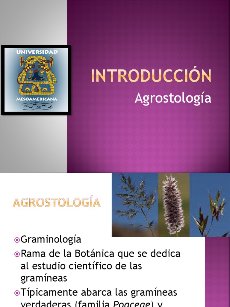 Introducción a la Agrostología | PDF | Hoja | Suelo