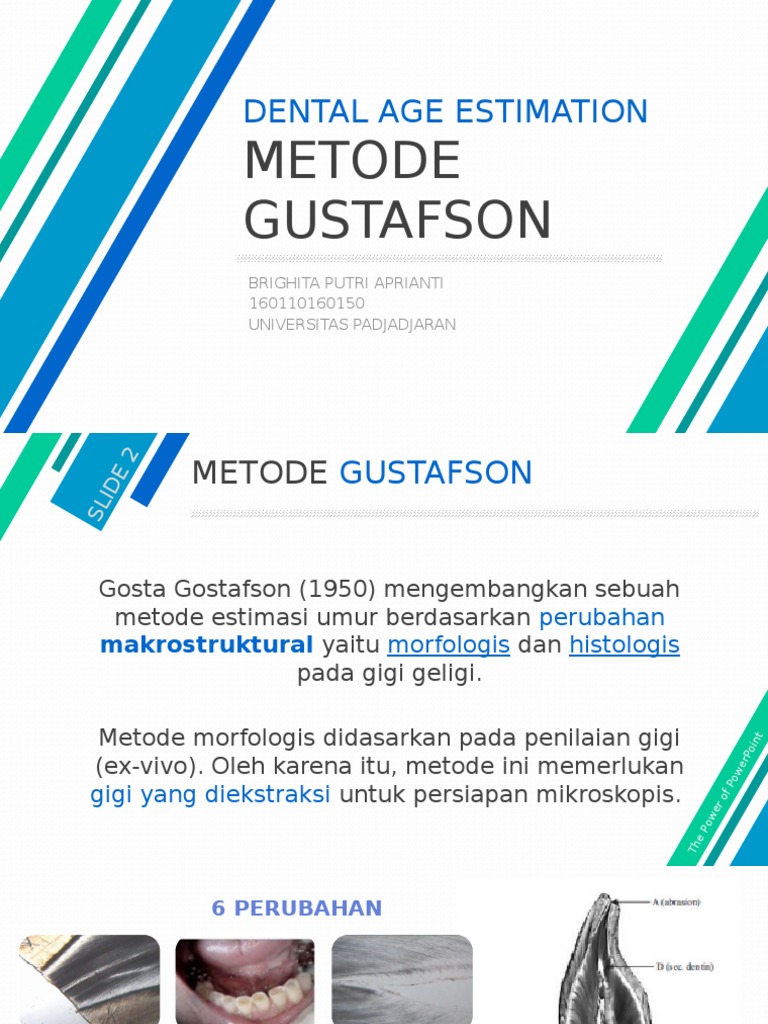 METODE GUSTAFSON - Dental Age Estimation | PDF