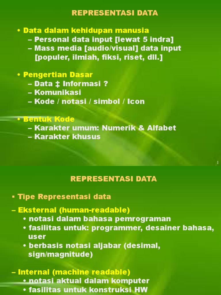 Representasi Data | PDF