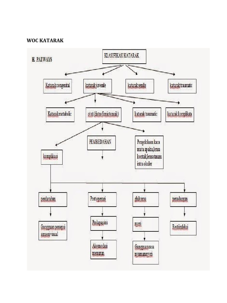 Woc Katarak | PDF