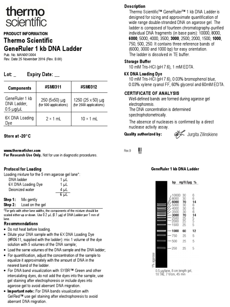 MAN0013004 GeneRuler 1kb DNALadder 250ug UG | PDF | Agarose Gel ...
