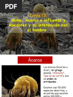 Ácaros del polvo: Dermatophagoides y Euroglyphus | PDF | Alergia