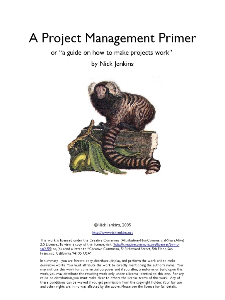 PM Primer | PDF | Return On Investment | Project Management