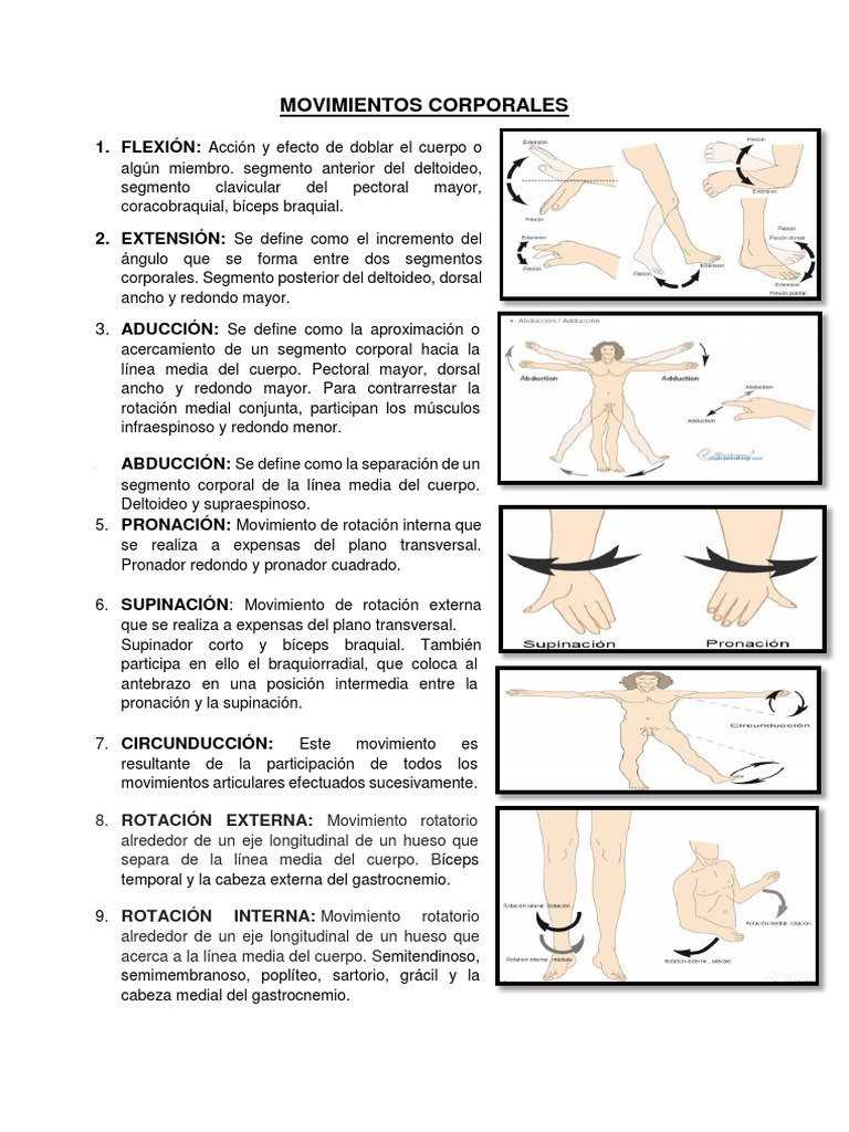 Movimientos | PDF | Anatomía humana | Sistema musculoesquelético
