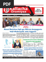 Karoora Dow Dhuunfaa Kan BARA 2014 A.L.I.: MANA BARUMSA Ifa Boruu Hacaaluu Asallaa SAD. 2 Ttii | PDF