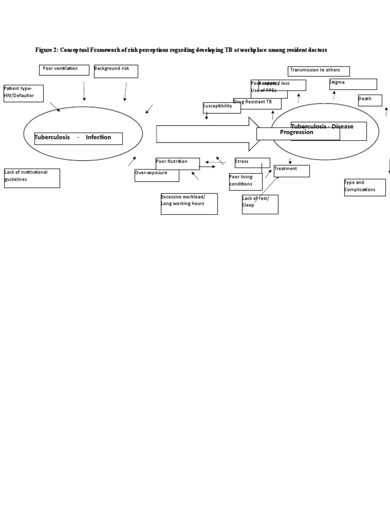 Conceptual Framework | PDF