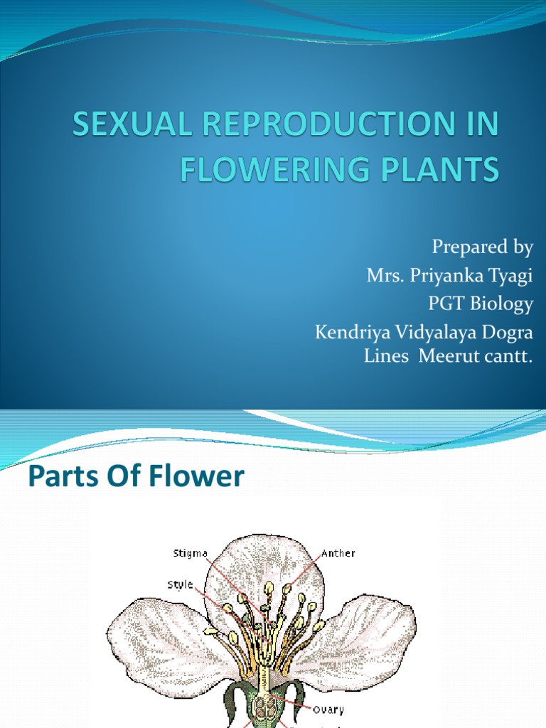 Anatomy and Reproduction of Flowers | PDF | Fertilisation | Pollen