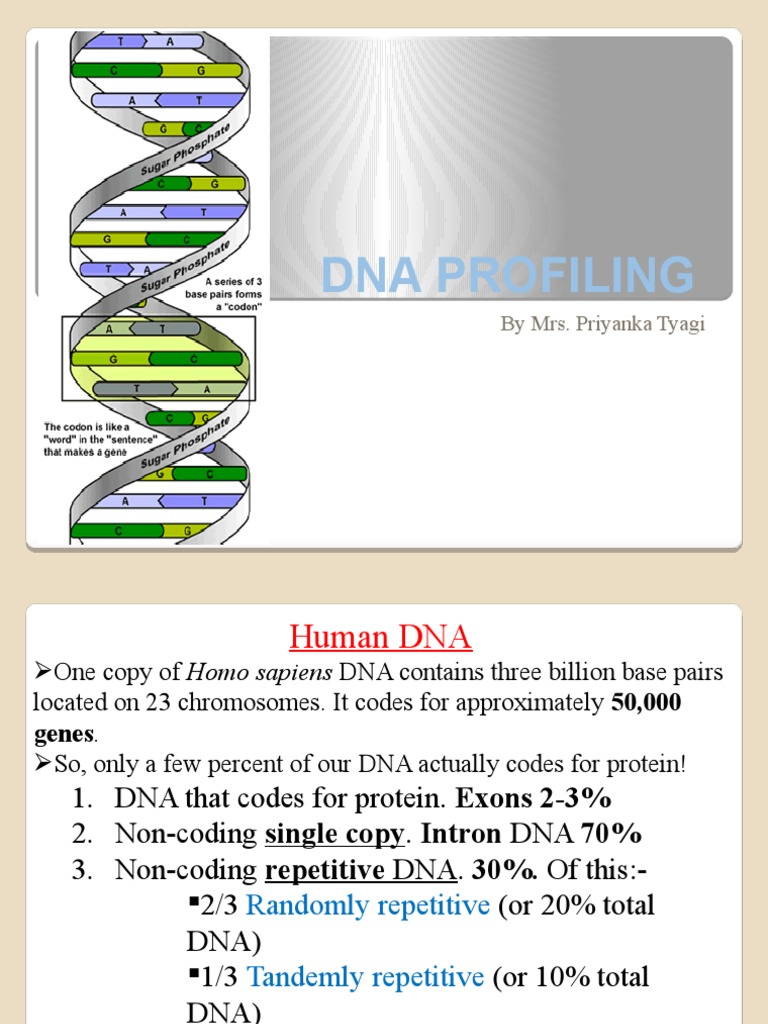 Dna Profiling: by Mrs. Priyanka Tyagi | Download Free PDF | Gel ...