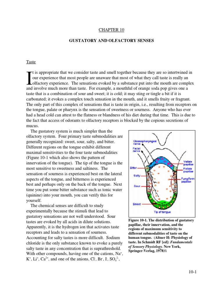 The Complex Sensory Experience of Taste and Smell: An Analysis of the Gustatory and Olfactory ...