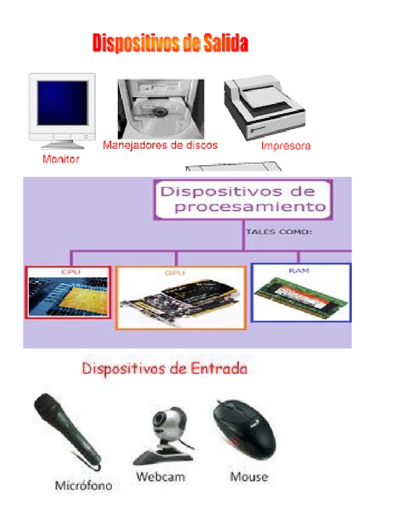 10 Ejemplos de Hardware | Hardware de la computadora | Ciencias de la Computación | Prueba ...
