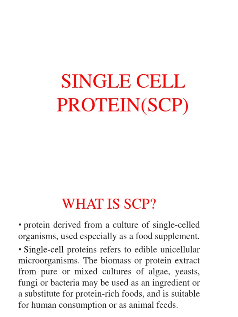 Single Cell Protein (SCP) | PDF | Organisms | Biology