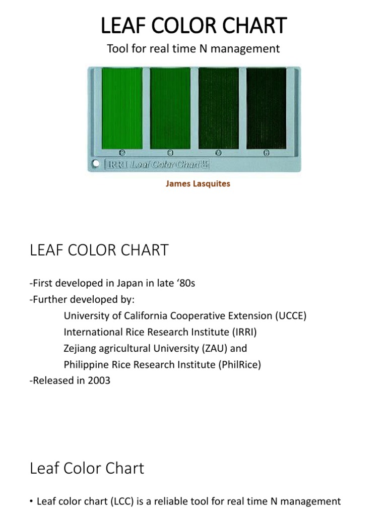 Leaf Color Chart: Tool For Real Time N Management | PDF | Rice | Land ...