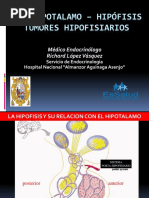 Signo de Homans | PDF | Anatomía del miembro inferior | Extremidades ...