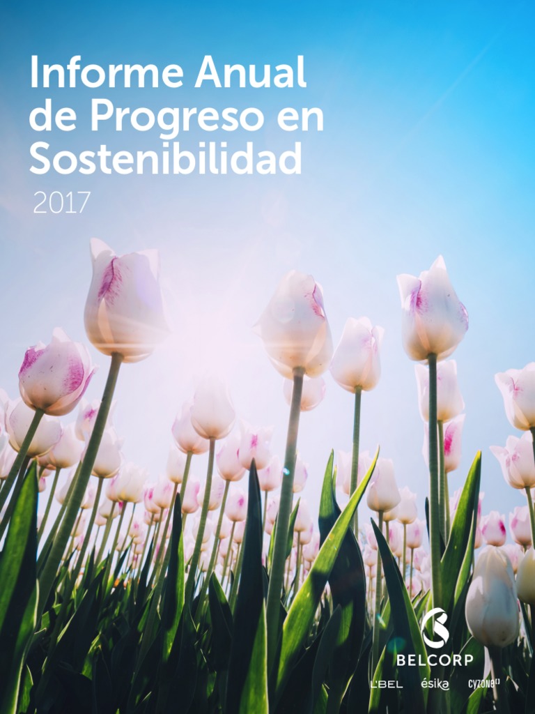 Informe Anual de Progreso en Sostenibilidad Belcorp | PDF ...