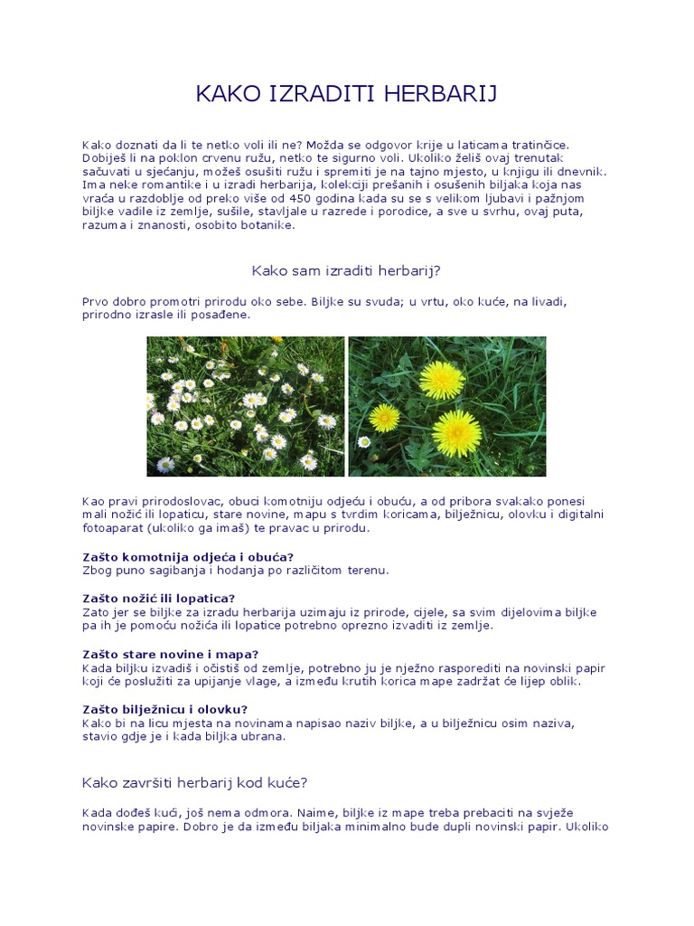 Kako Izraditi Herbarij | PDF
