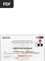 Diploma de Título Profesional #001ddtp0009315-Unmsm | PDF