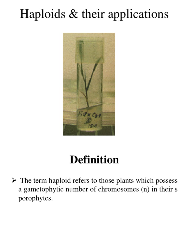 Haploid Production | PDF | Pollen | Zygosity