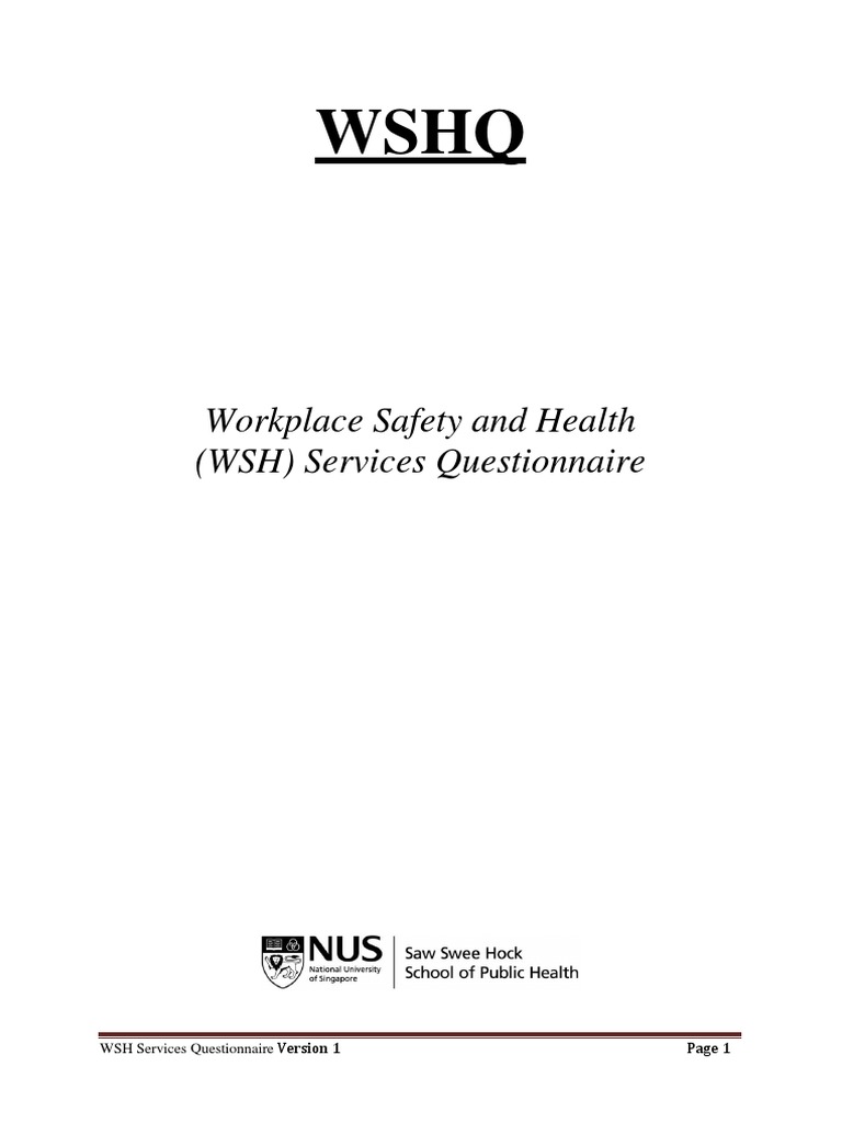 A3 WSH Services Questionnaires 14feb14 | PDF | Physical Examination | Noise