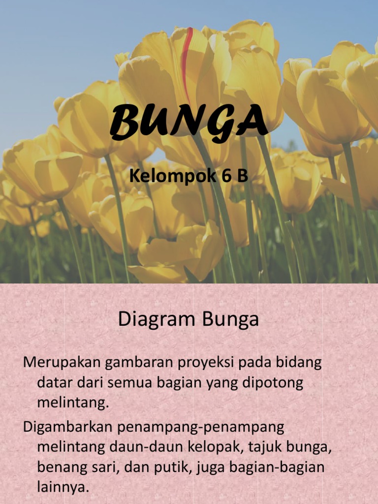 Diagram Bunga | PDF
