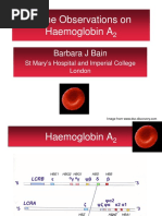 Blood Film Comment and Analysis Guide | PDF | Anemia | White Blood Cell