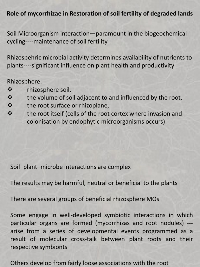 AMF and Soil Fertility | PDF | Soil | Organisms