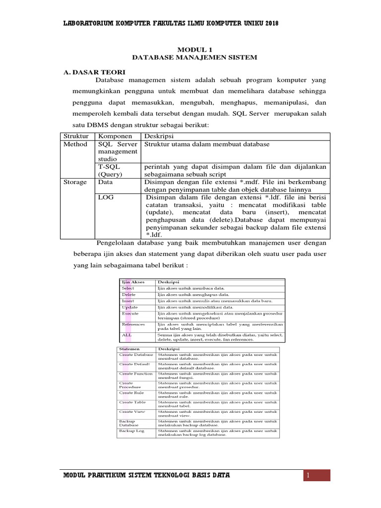 MODUL DATABASE MANAJEMEN SISTEM | PDF