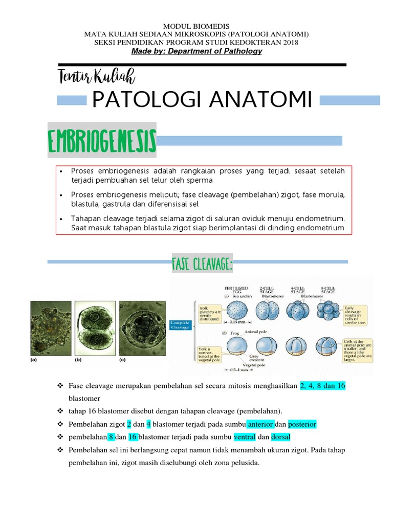 Patologi Anatomi | PDF