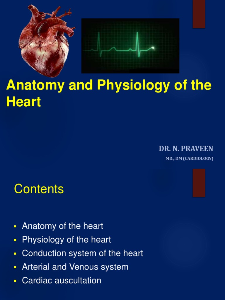 Anatomy and Physiology of The Heart: Dr. N. Praveen | Download Free PDF ...