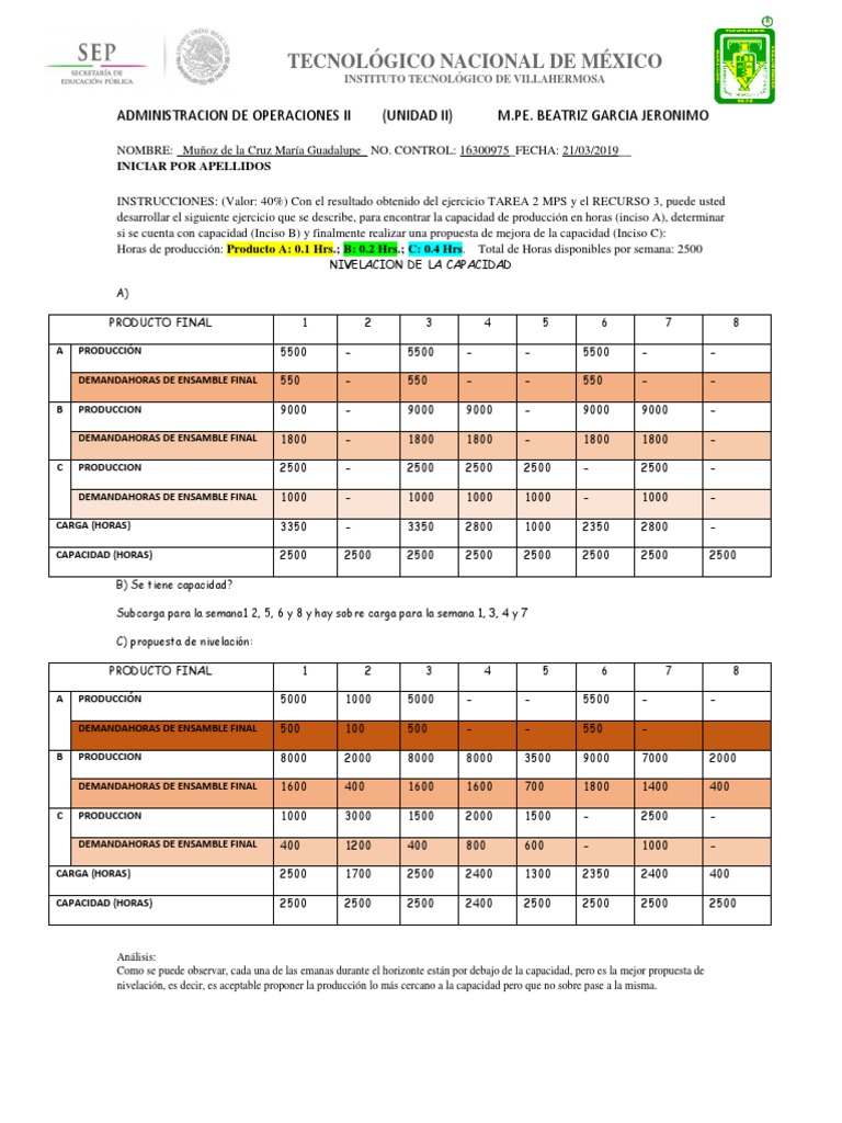 Tarea 5 Plan de La Capacidad | Descargar gratis PDF | Business