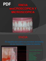 Línea Alba Bucal: Causas y Tratamiento | PDF | Enfermedades y ...