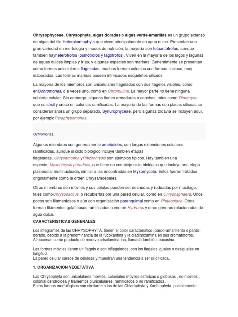 Chrysophyceae | PDF | Algas | Biología