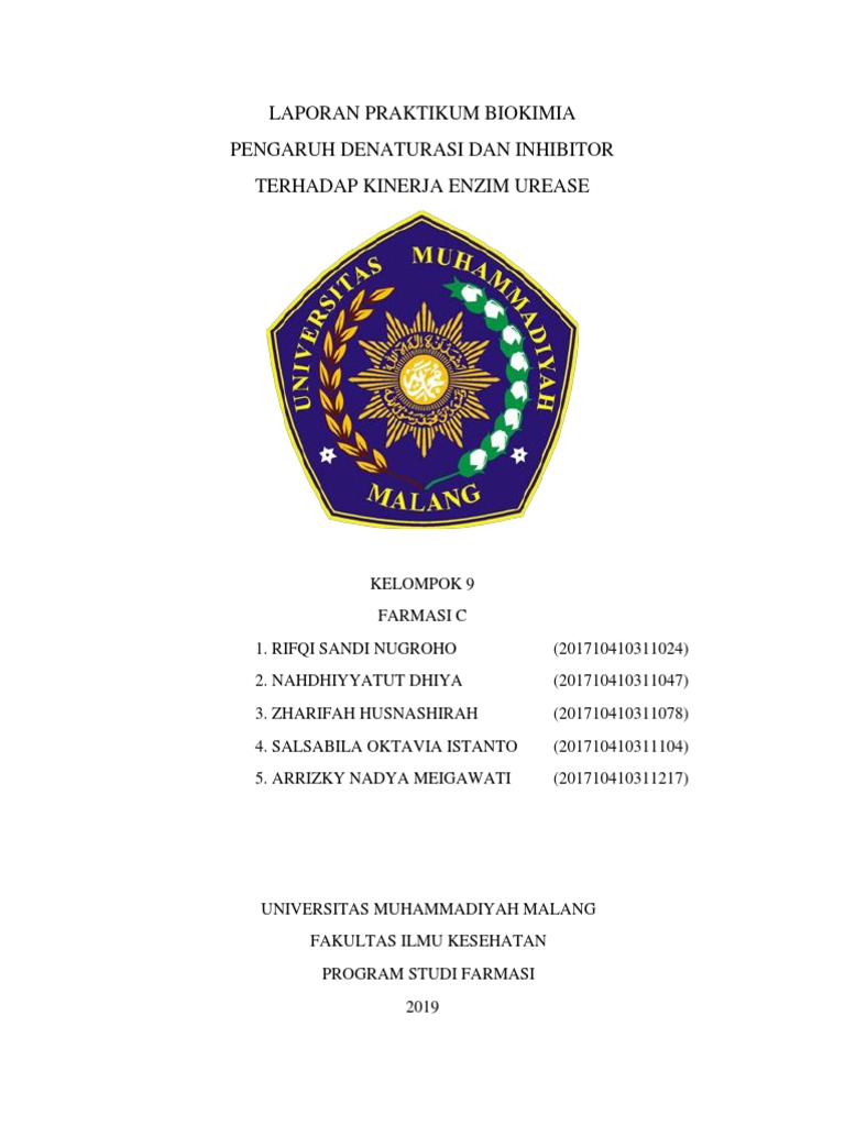 Laprak Enzim Urease | PDF