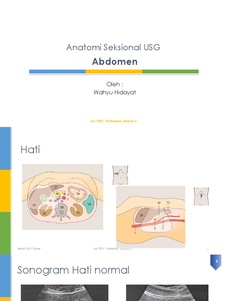 Anatomi Seksional USG Ab | PDF | Wellness | Science & Mathematics