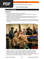 Swine Blood Collection Guide | PDF | Vein | Syringe