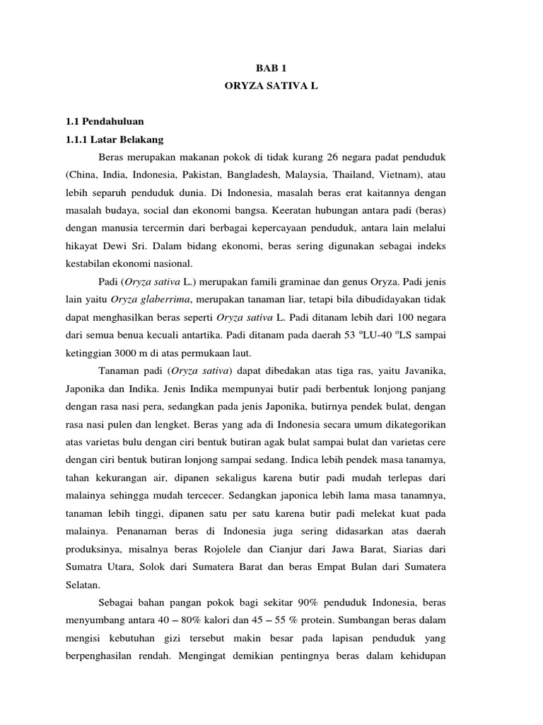 Pati Beras | PDF
