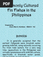 TILAPIA Fish Farming Handbook | PDF | Aquaculture
