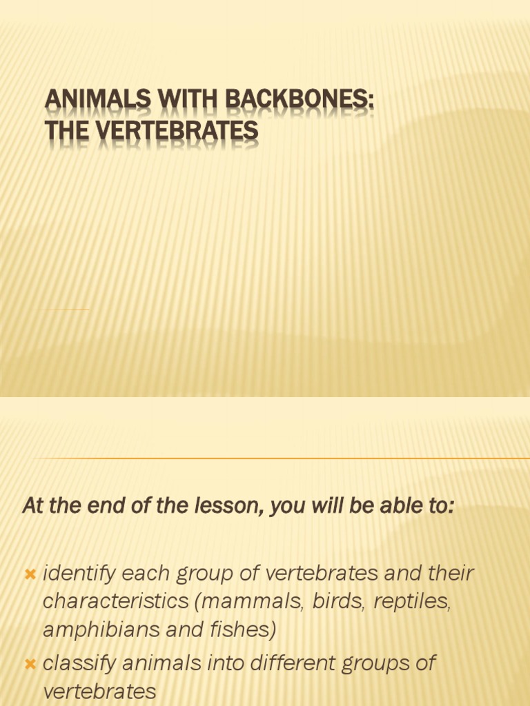 Animals With Backbones | PDF | Amphibian | Reptile