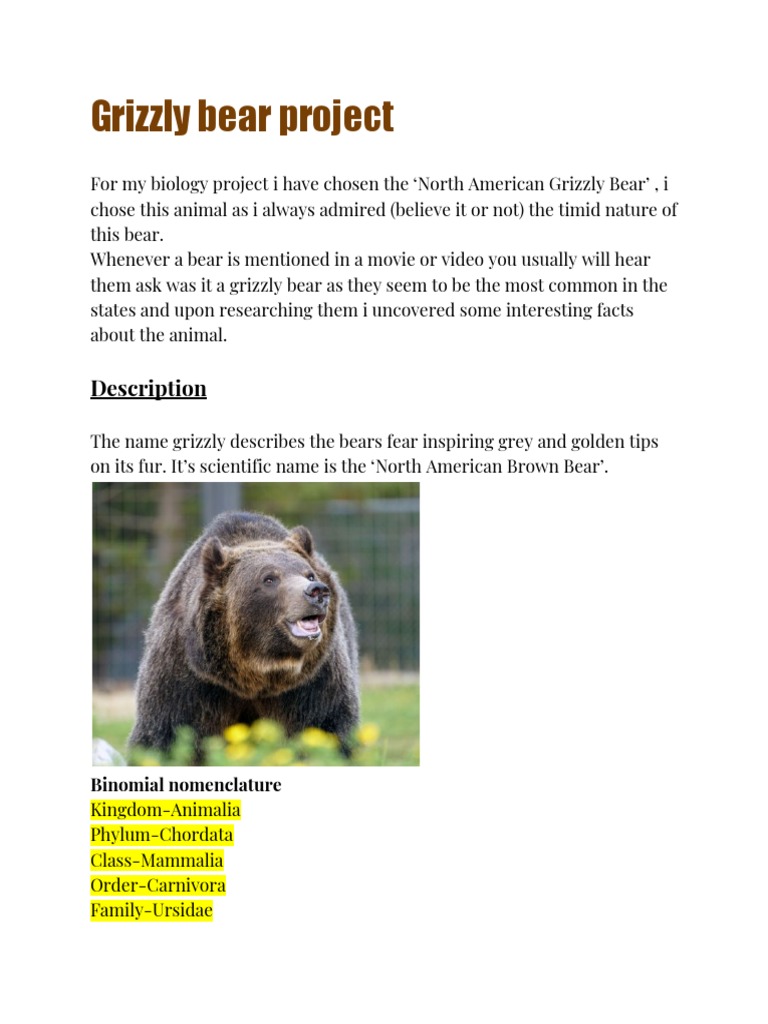 Grizzly Bear | PDF | Grizzly Bear | Bears