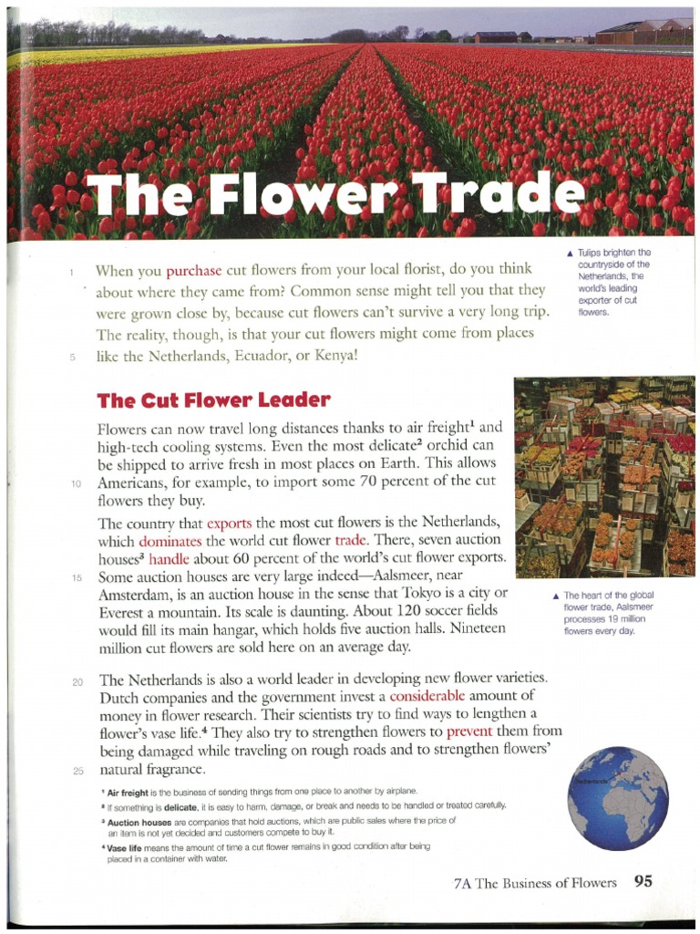 The Flower Trade | PDF